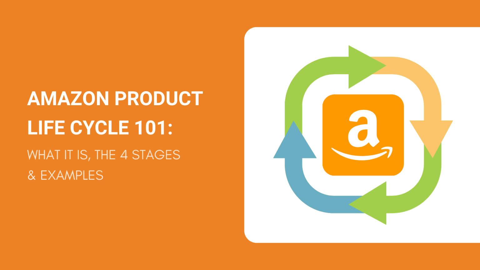 Amazon Product Life Cycle 101: What It Is, The 4 Stages & Examples