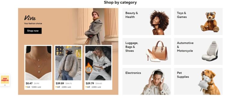 How Does AliExpress Work? Read the 2024 Guide Is Enough - Dropshipping ...